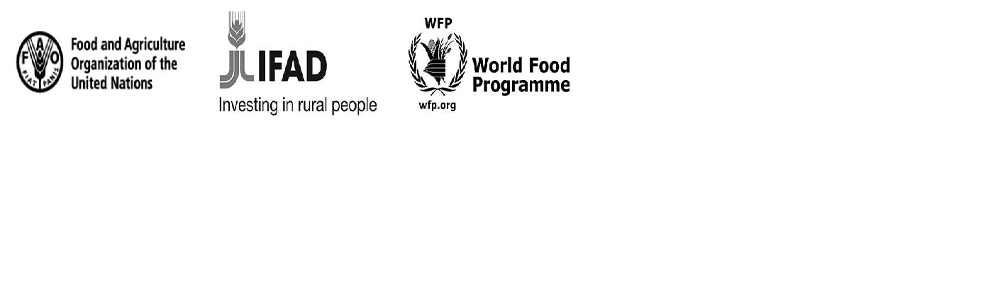 Ifad Logo PAID Internship Opportunities At United Nations Food And ...